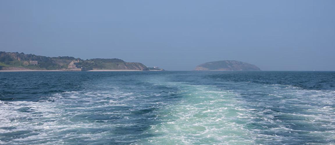Anglesey - Seacoast Safaris | Experience Britain